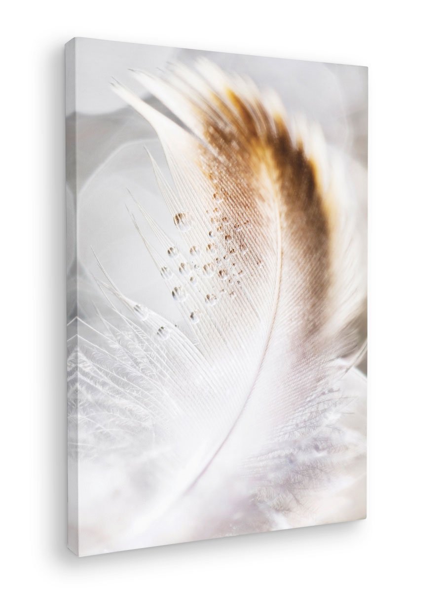 Paveikslas Plunksnos švelnumas - Yzydeco.lt
